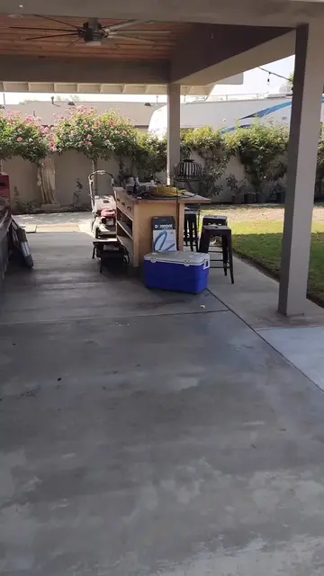 Bees turn my backyard speaker into a buzzing hive