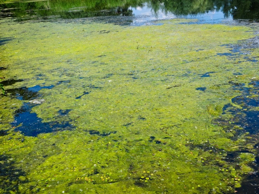 North Jersey lake contaminated, again, officials say