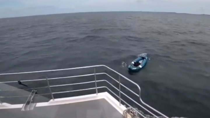 Caught on camera: Dog lost at sea in kayak rescued by skipper & crewman ...