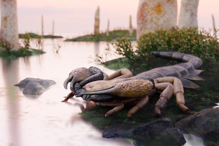 Scientists thought giant fossils belonged to a prehistoric crustacean ...