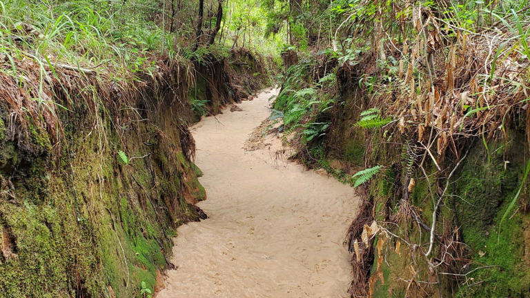 The marvelous 2.5-mile trail in Louisiana leads to a hidden canyon