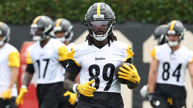 Las Vegas Raiders sign Brandon Johnson to add wide receiver depth ...