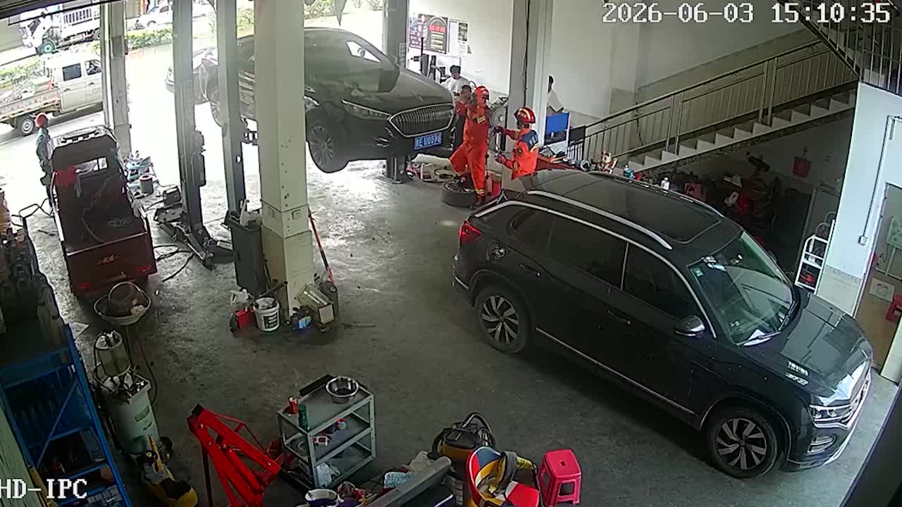 King cobra found inside car engine removed by firefighters at workshop