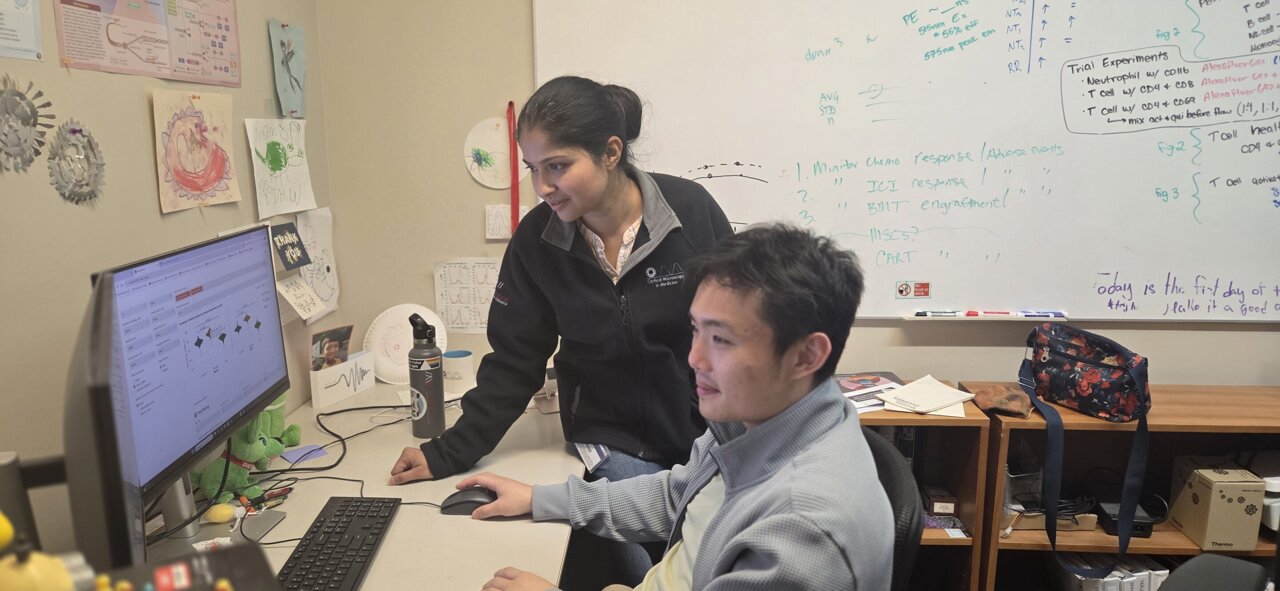 Open-source FLIM playground could speed reproducible analysis of ...