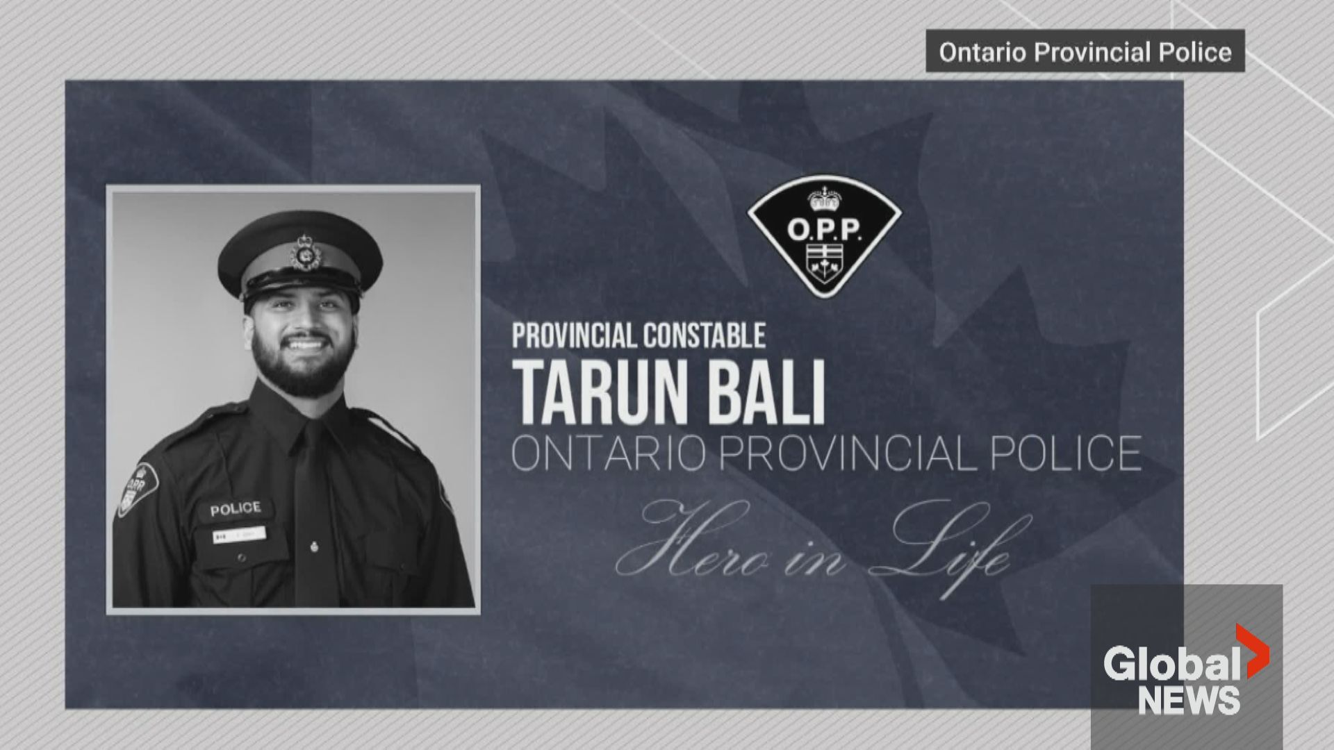 18-year-old man faces murder charge after OPP officer killed near ...