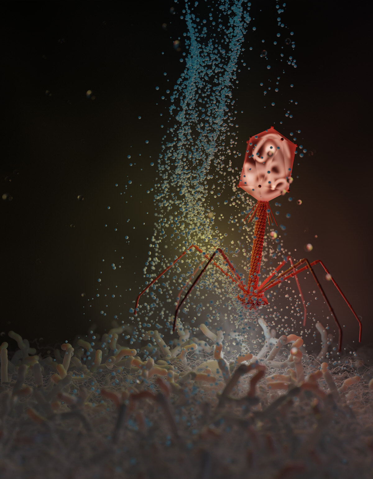 Antiviral soil compound disrupts phage infection cycle before viruses ...