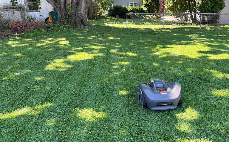 Is it hard to set up a robot lawn mower? We made some interesting ...