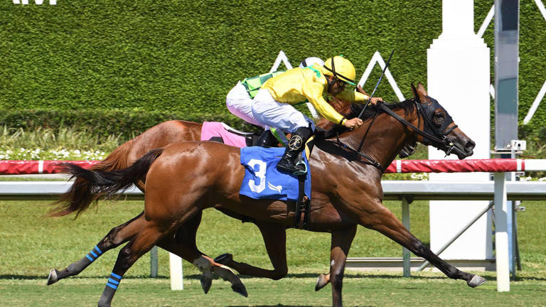 Racetrack roundup: Phil D'Amato secures training title at Santa Anita meet