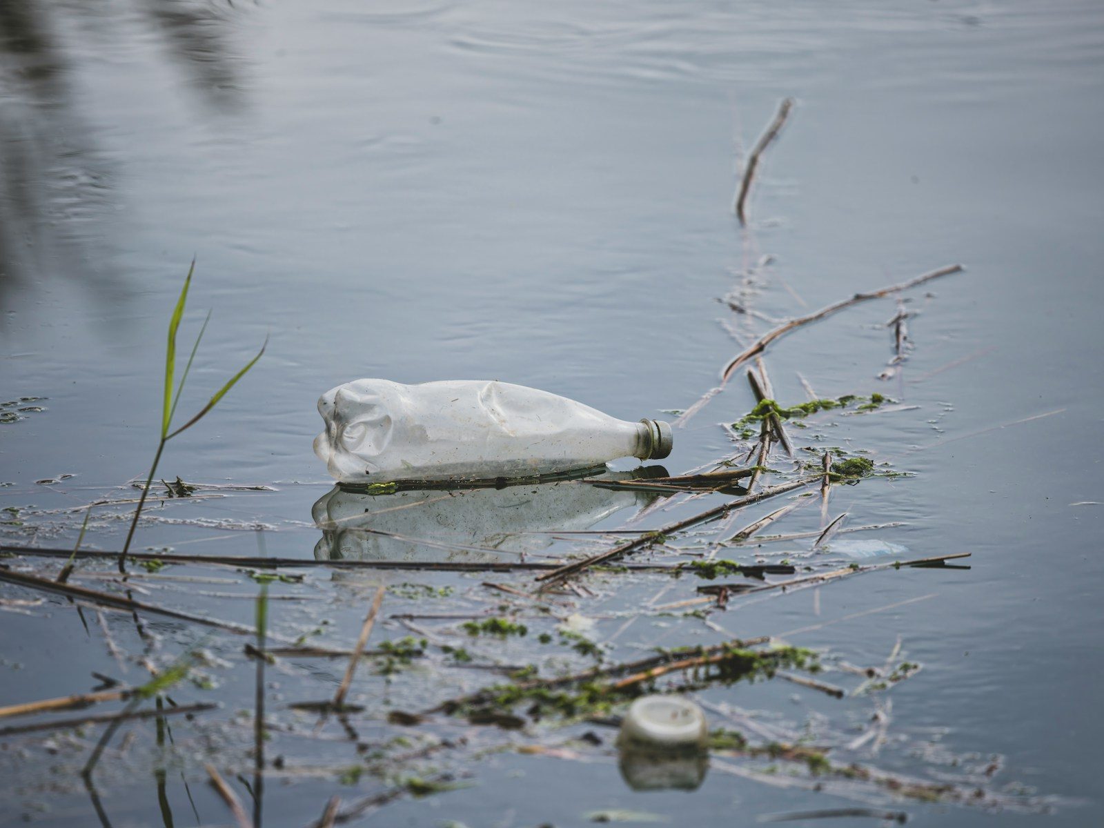he Enzyme Now Cleaning Oceans in Hours, Not Years