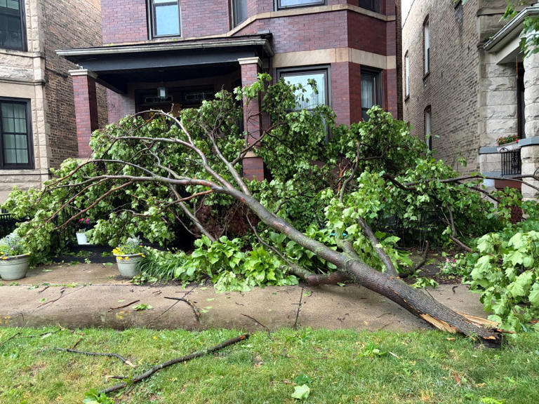 Photos: Severe weather hits Chicagoland, leaving trail of destruction