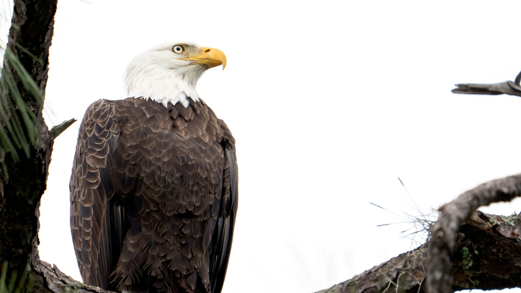 22 unique facts about the United States