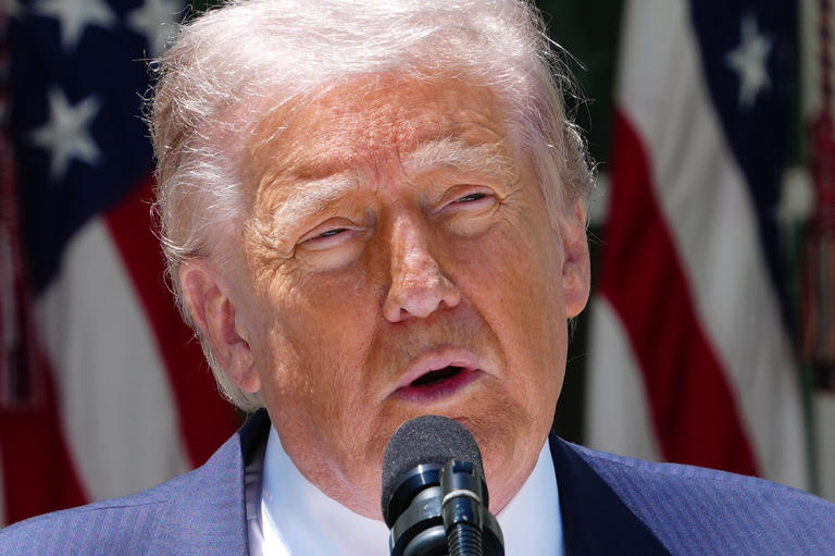 CNN legal analyst shreds case against Donald Trump’s White House UFC ...