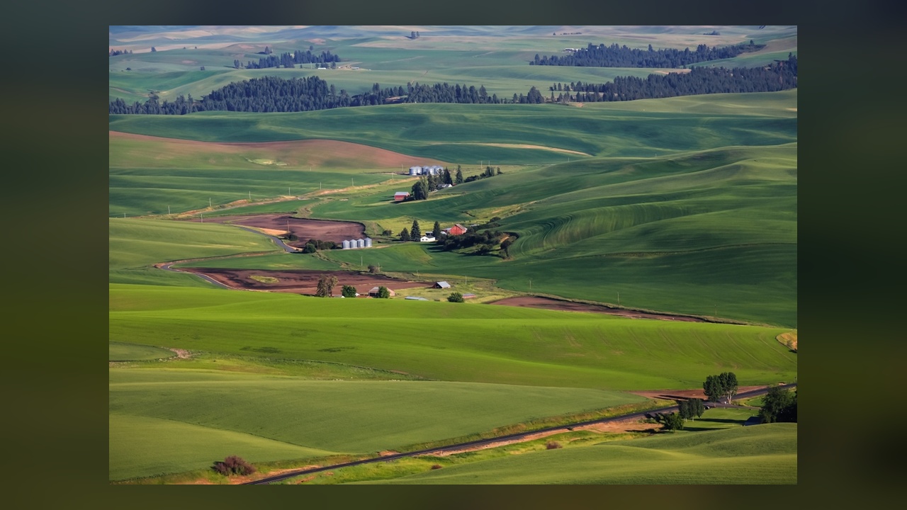Drive 80 miles from Spokane and Washington stops looking like Washington