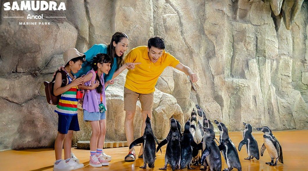 Promo Samudra Ancol spesial 499 salebration mulai Rp 76 ribuan, cek ...