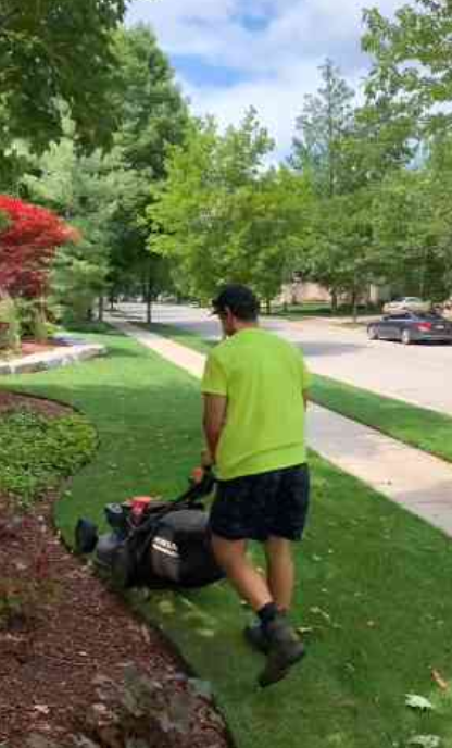 How to revive a dead lawn step by step?