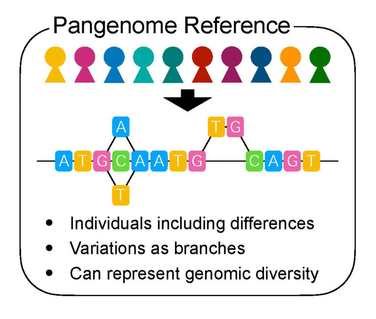 Pangenome graph unlocks 20 near-complete variant groups in Japanese genomes