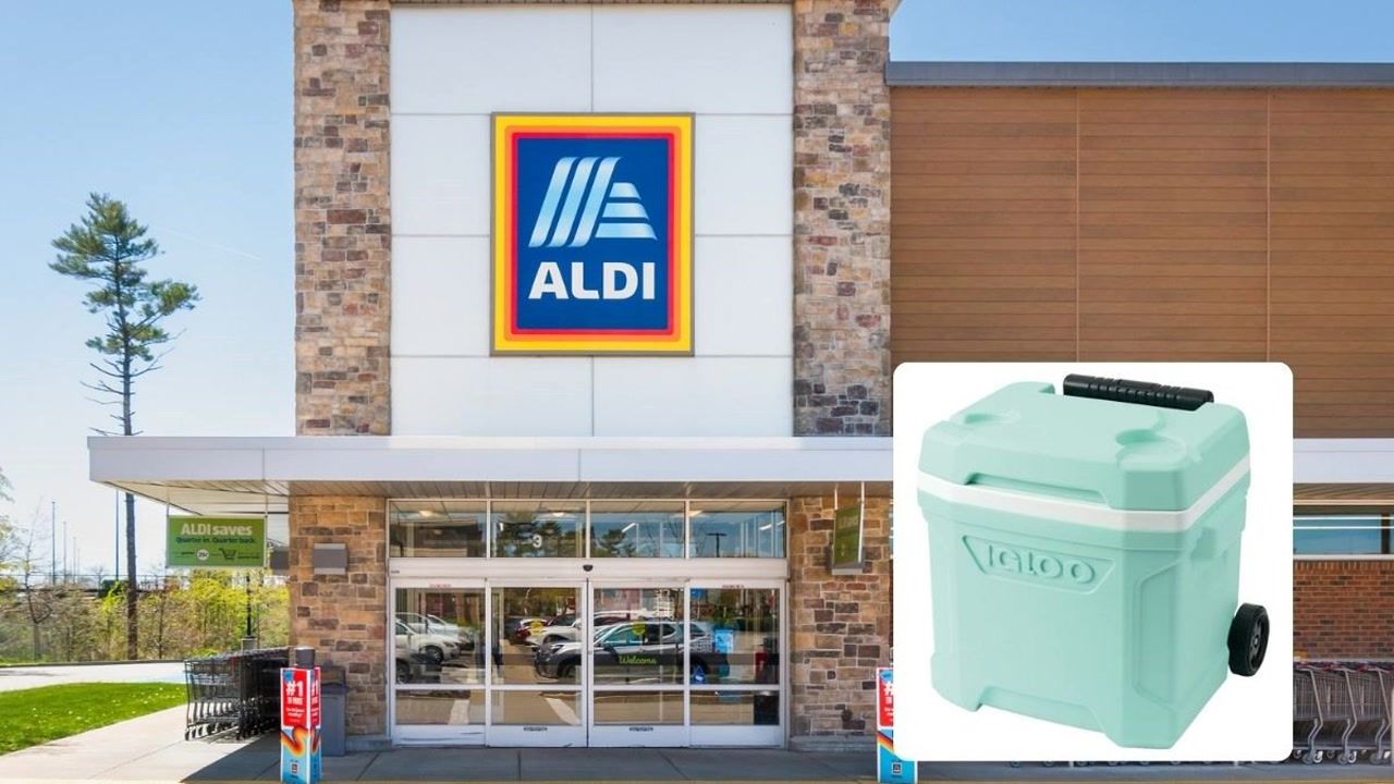 Your best road trip ever starts with the Aldi weekly ad
