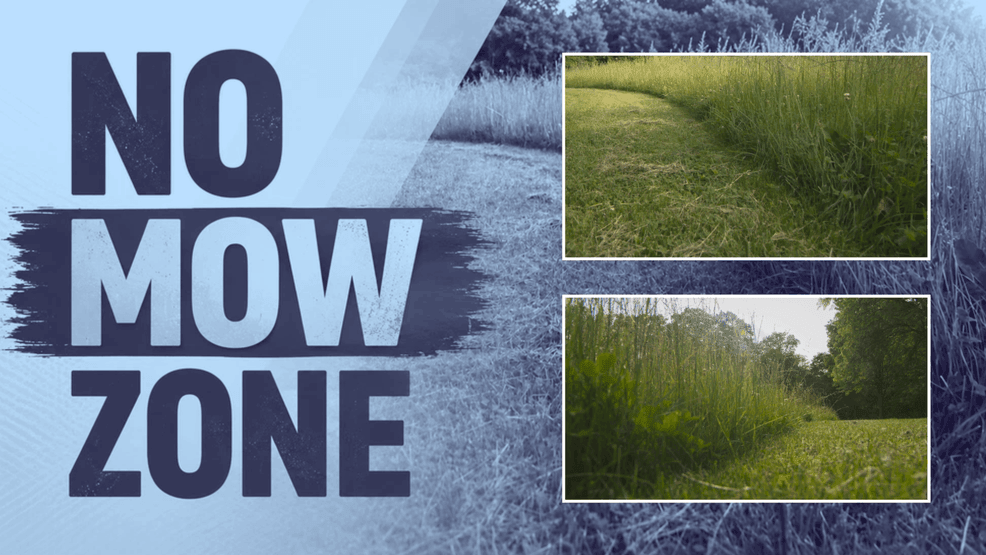 Columbus residents demand answers as 'no-mow zones' spark backlash ...