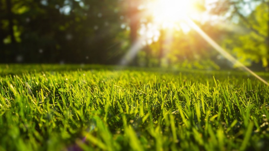 Tips for staying safe Indiana’s extreme heat