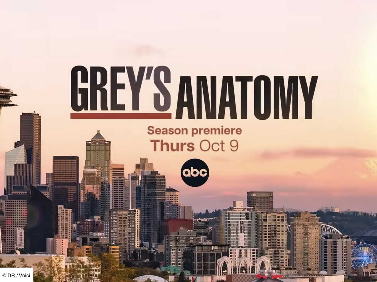 Grey’s Anatomy : ces deux stars de la série vont partir à la fin de la ...