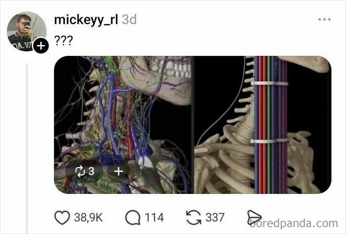 22 responses to the question, “Why can’t we have one big hole?”