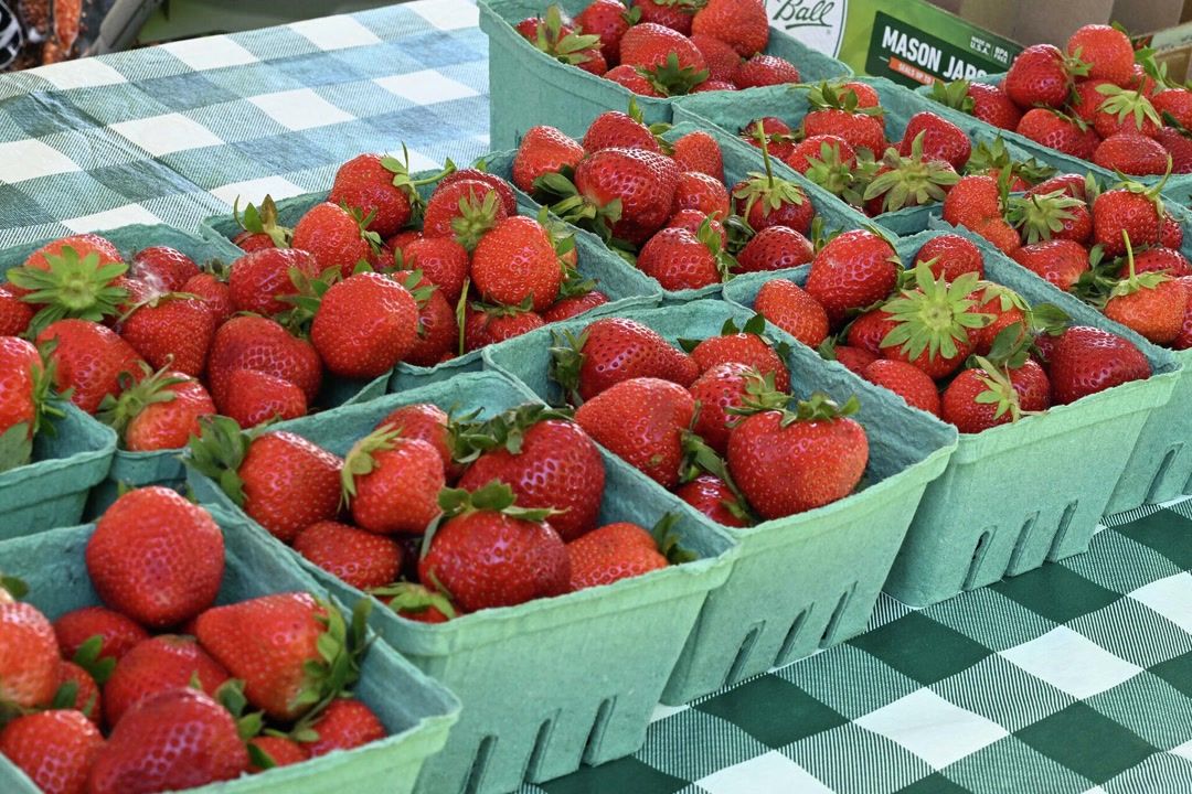 Connecticut strawberry festivals bring shortcake, music and family fun ...