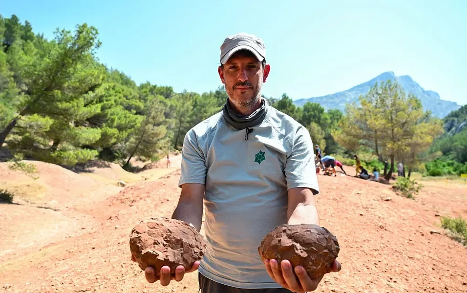 Nature’s most fascinating egg-shaped wonders