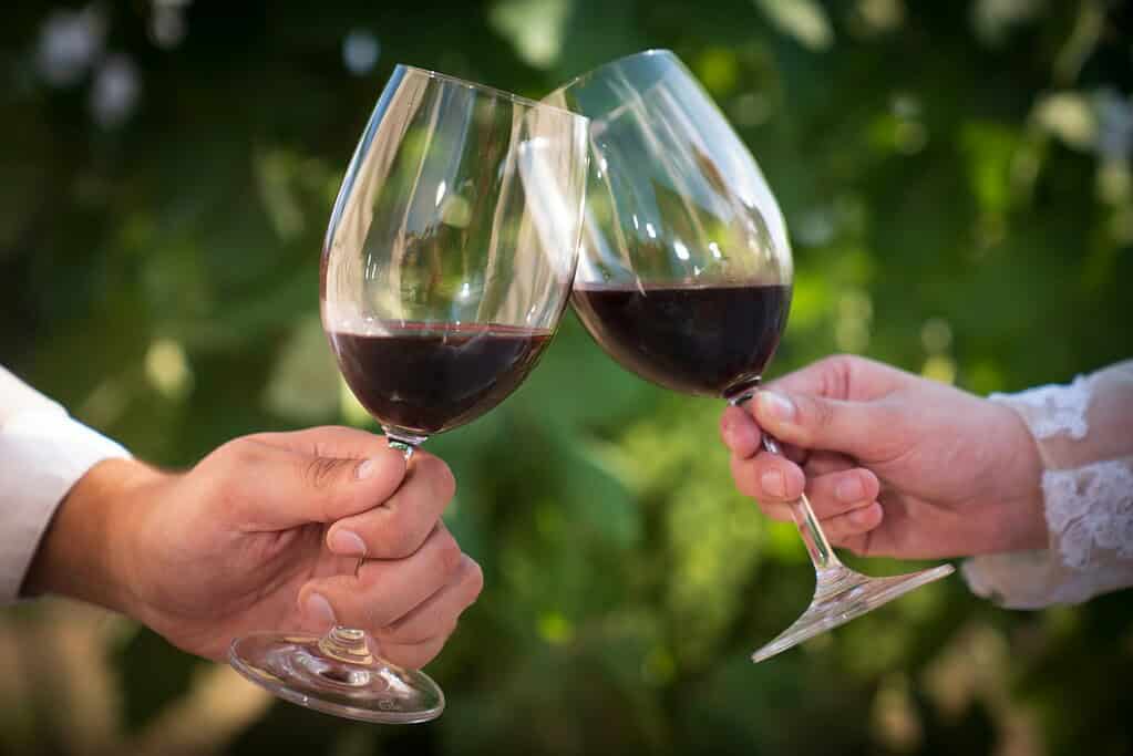 Federal alcohol study shelved under Trump found that even one drink a ...