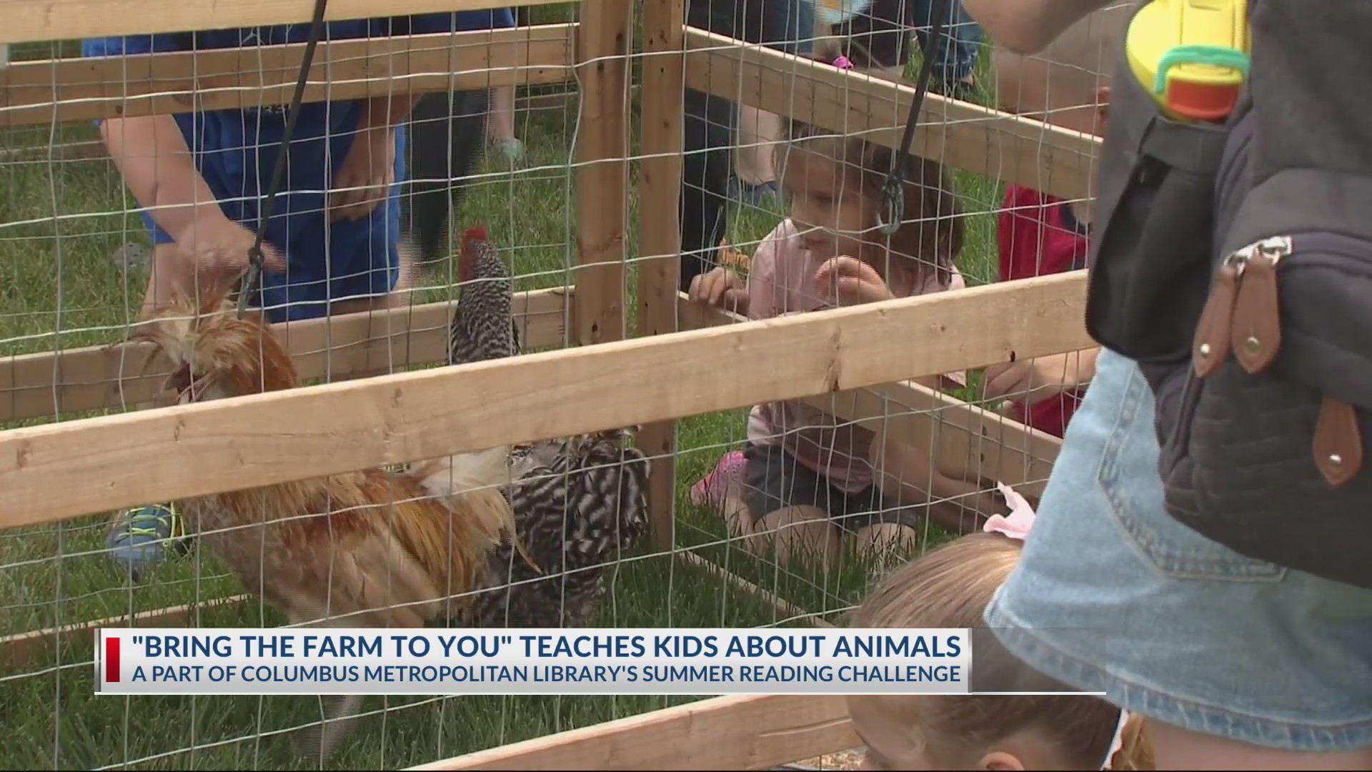 "Bring the farm to you" teaches kids about animals