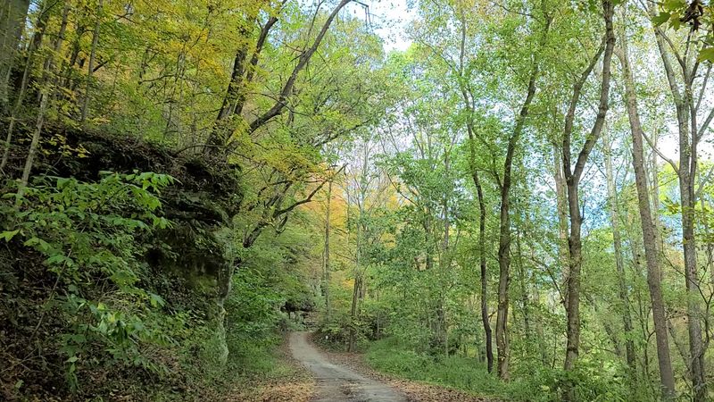 This scenic Indiana trail features massive 100-foot towering bluffs and ...