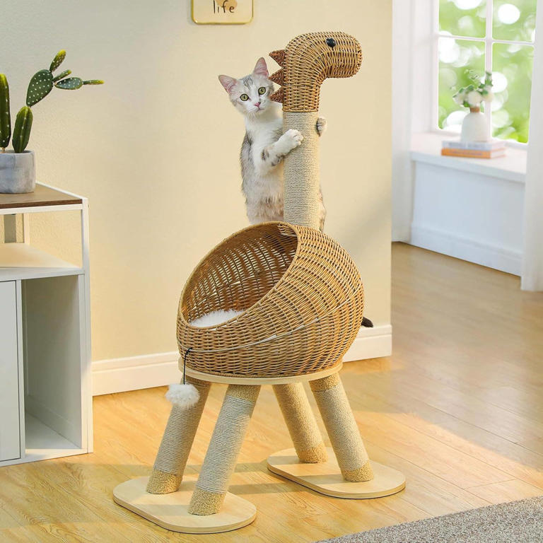 Transform your home with Amazon's $99 dinosaur cat tree that cats love