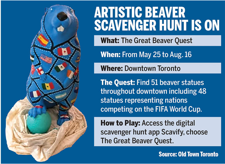 Beaver scavenger hunt takes over downtown Toronto neighbourhood during ...