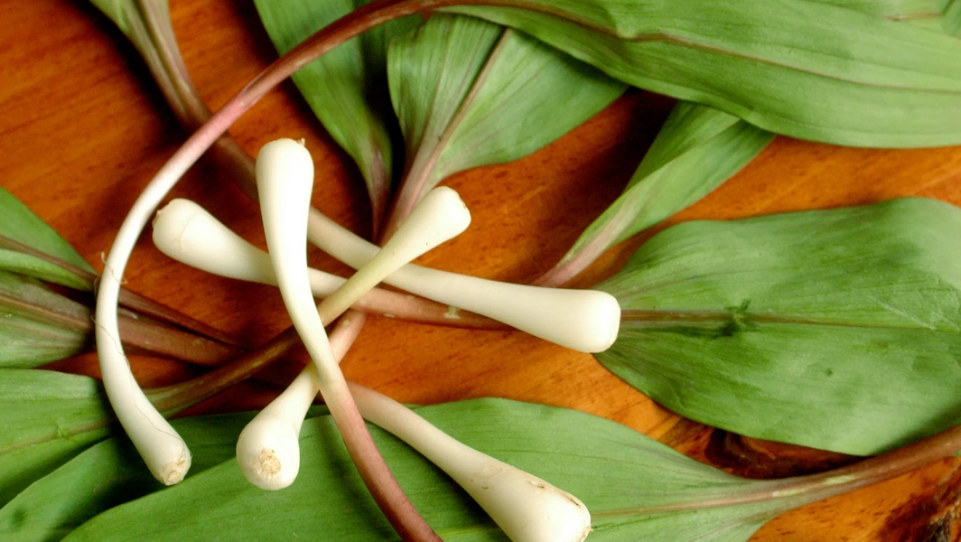 Reviving and preserving Appalachian food traditions