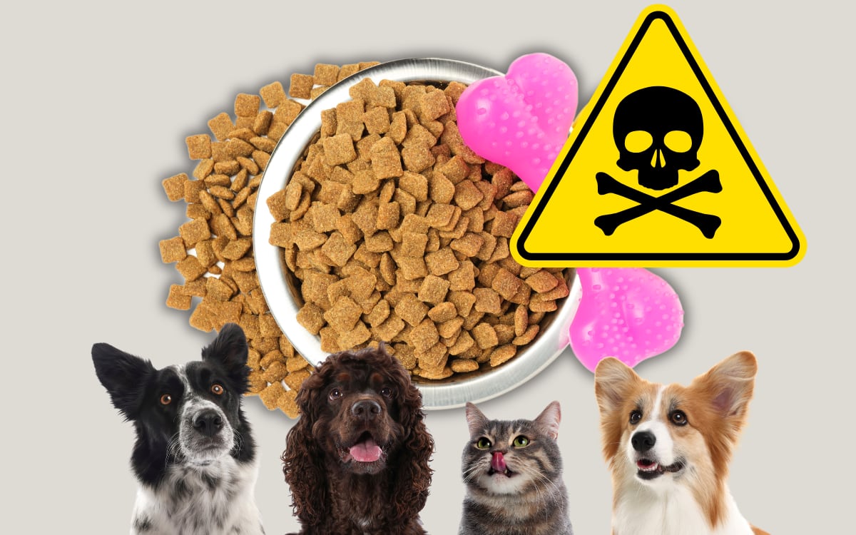 Famosa comida para gatos y perros es retirada urgentemente; FDA alerta ...