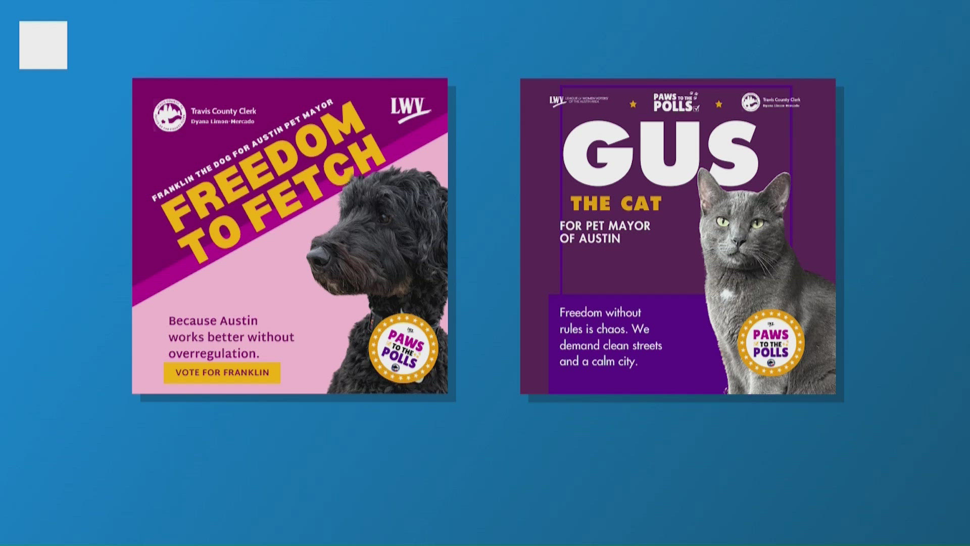 Gus the cat and Franklin the dog are running for Austin's pet mayor