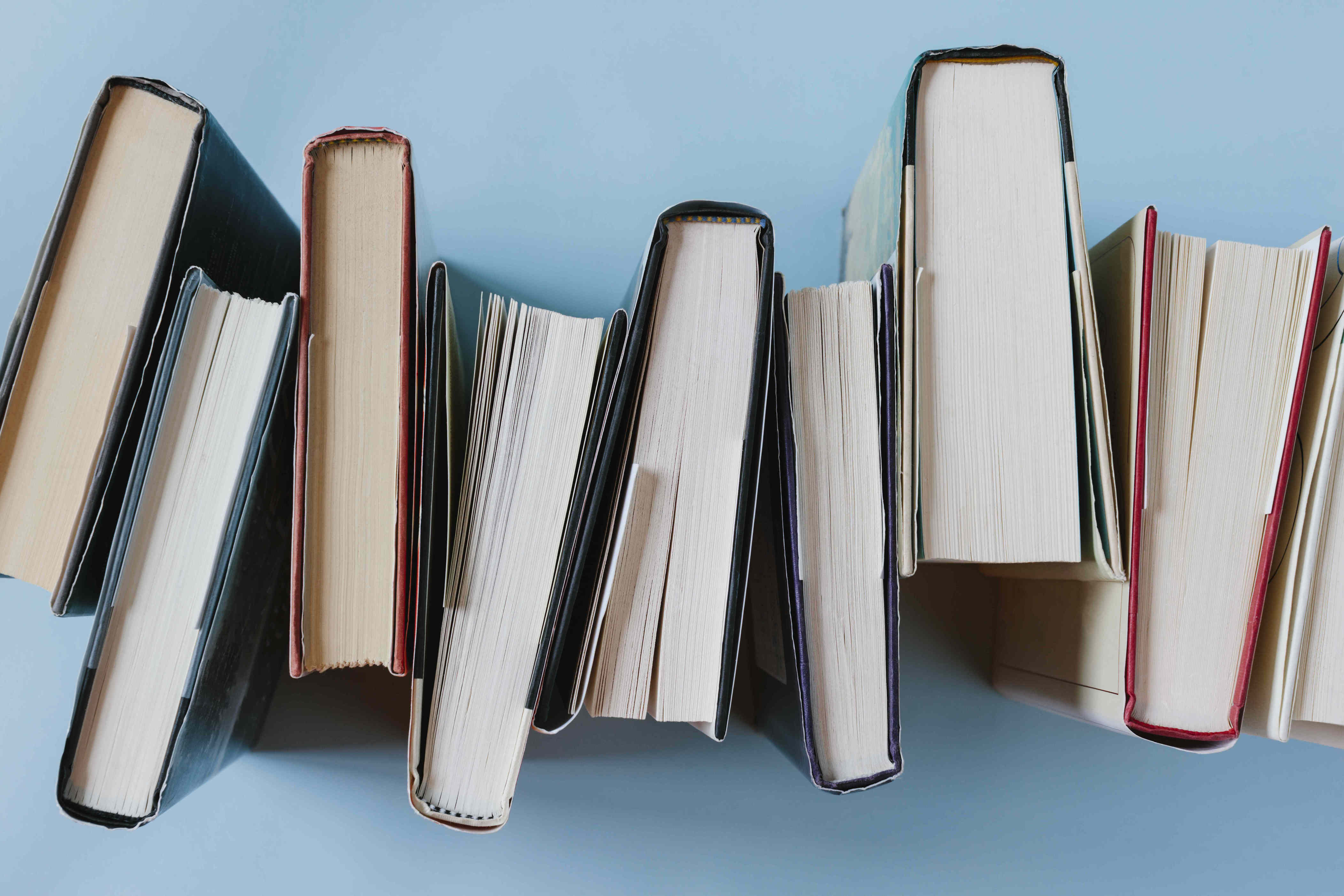 Amazon just named this Southern author's novel the best book of the ...