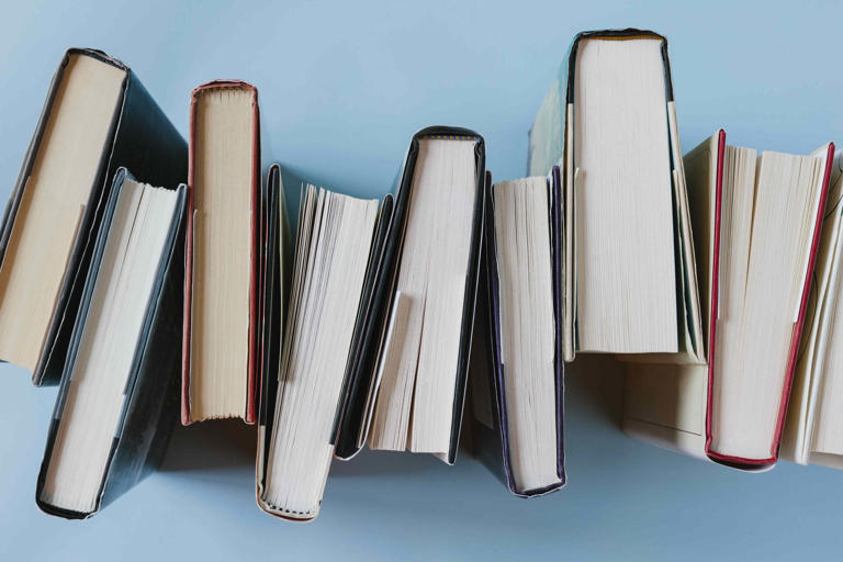 Amazon just named this Southern author's novel the best book of the ...