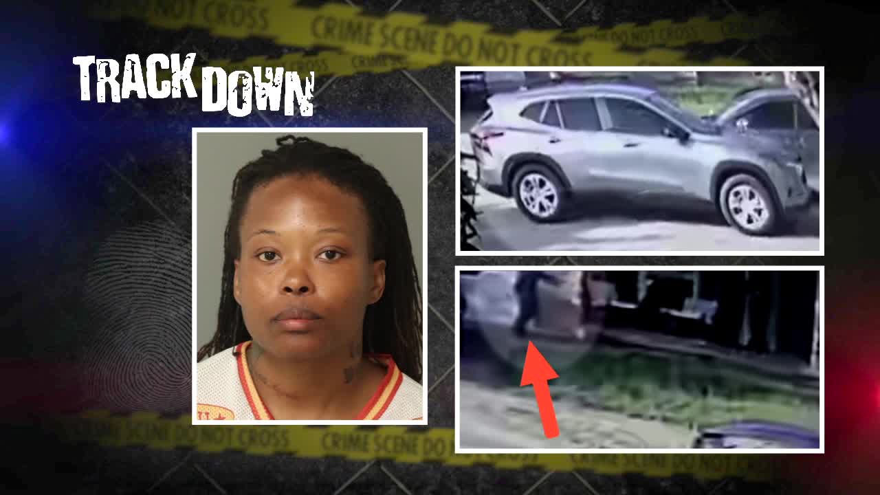 Trackdown arrest: Woman shot ex-husband 18 times in Dallas using fake ...