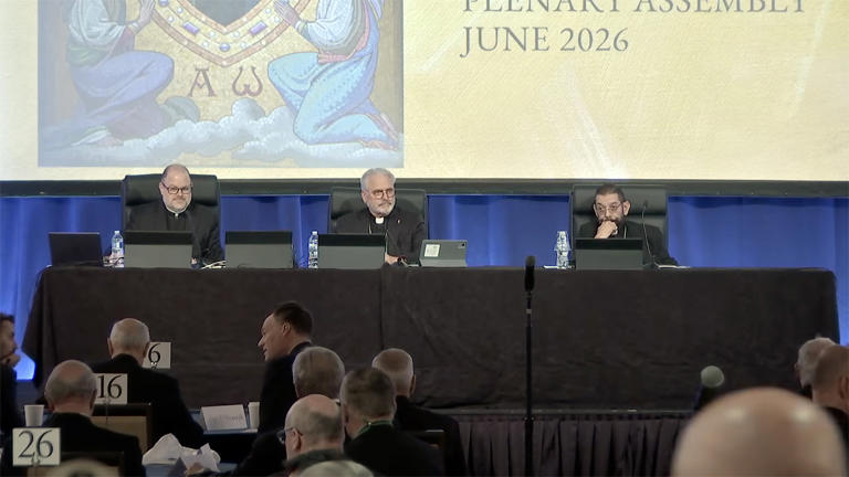 US bishops signal closer ties to Pope Leo — while nudging Trump on ...