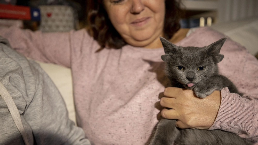 17 rare genetic traits in animals