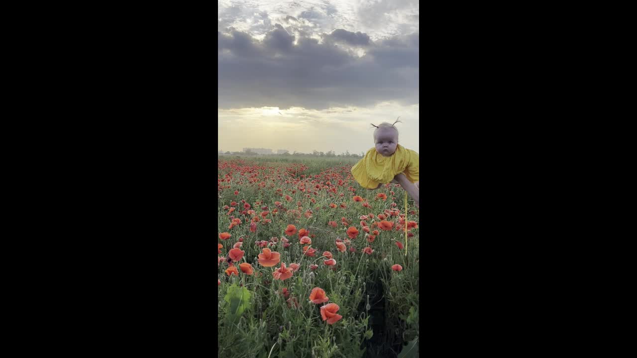 Seven-month-old dressed as ‘baby bee’ goes viral after poppy-field ...