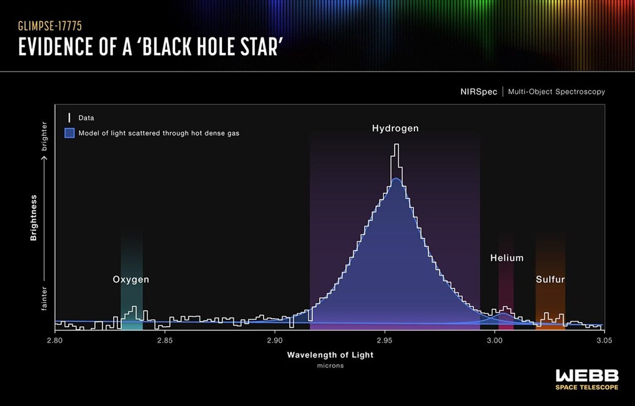 'Black hole stars'—Webb finds strongest evidence yet
