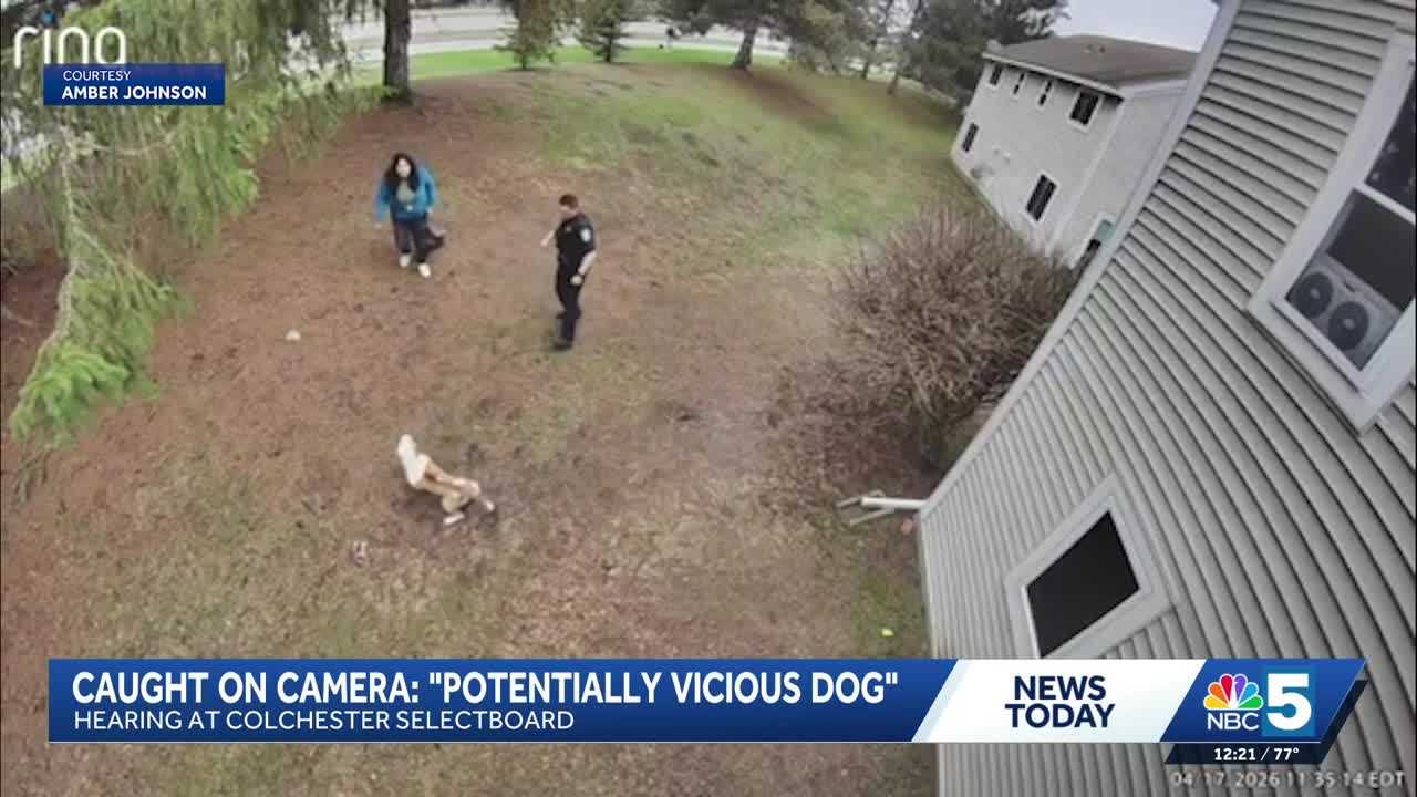Colchester selectboard reviews complaints about aggressive dog