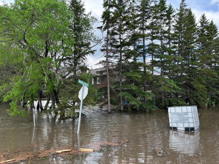 RM of Rosser declares state of emergency as flooding forces Grosse Isle ...