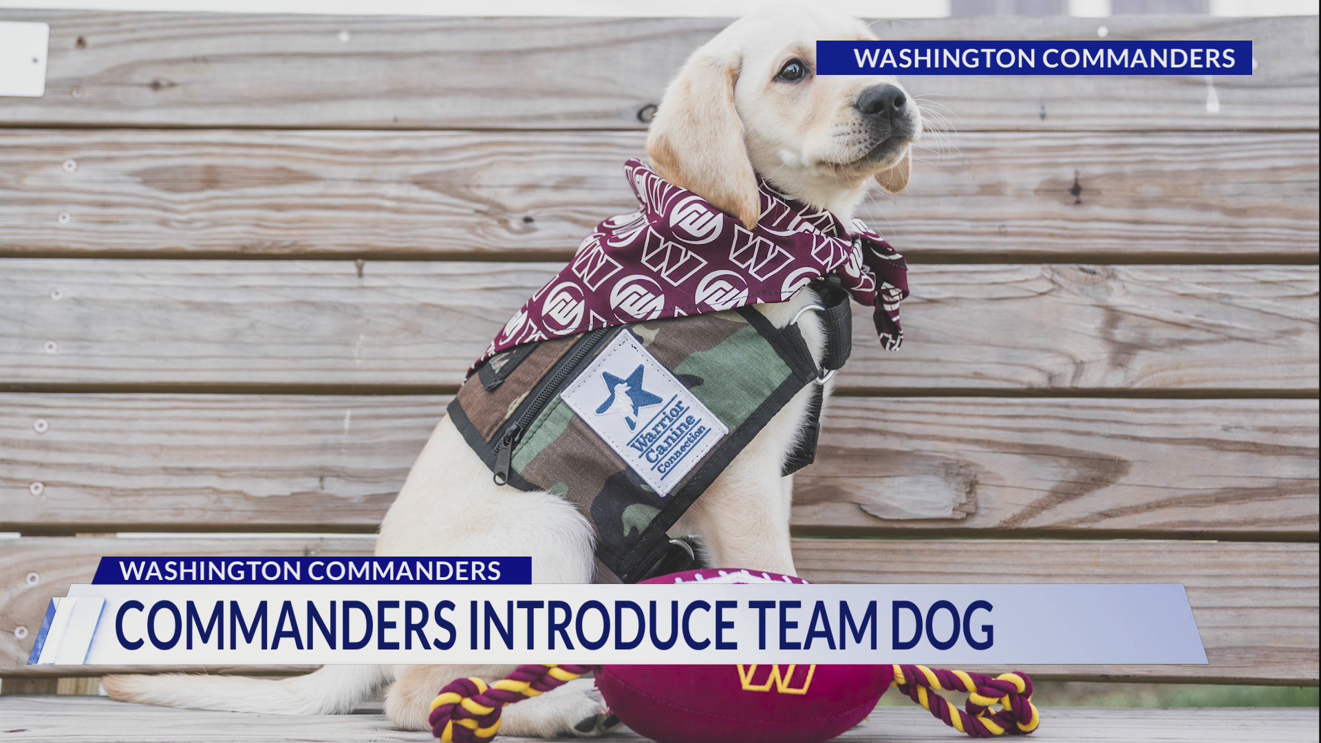 Commanders introduce team dog