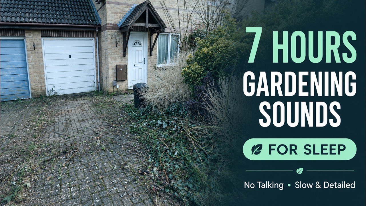 7 hours of peaceful gardening for sleep, relaxation & focus | No ...