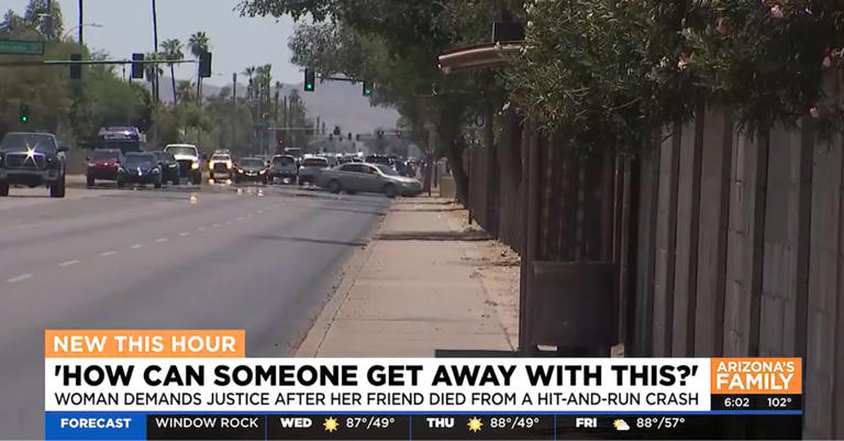 72-year-old woman walking to bus stop mowed down by drunk driver who ...