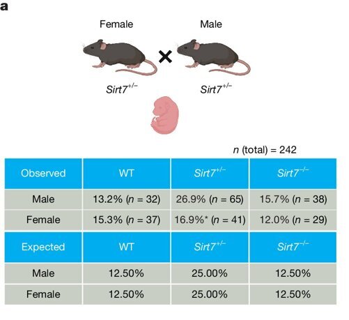 A hidden DNA genome protector may explain why health and aging differ ...