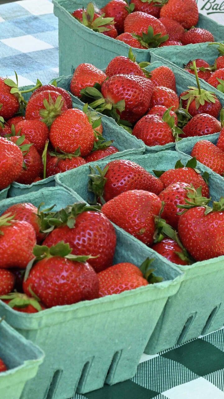 Connecticut strawberry festivals bring shortcake, music and family fun ...