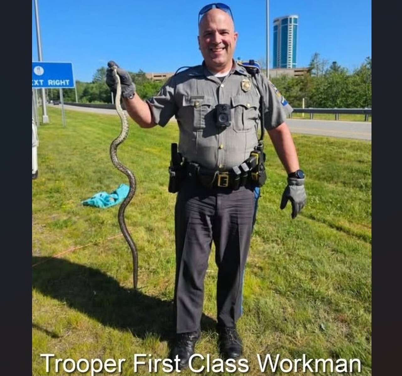 Connecticut driver spots snake in car while driving, police say